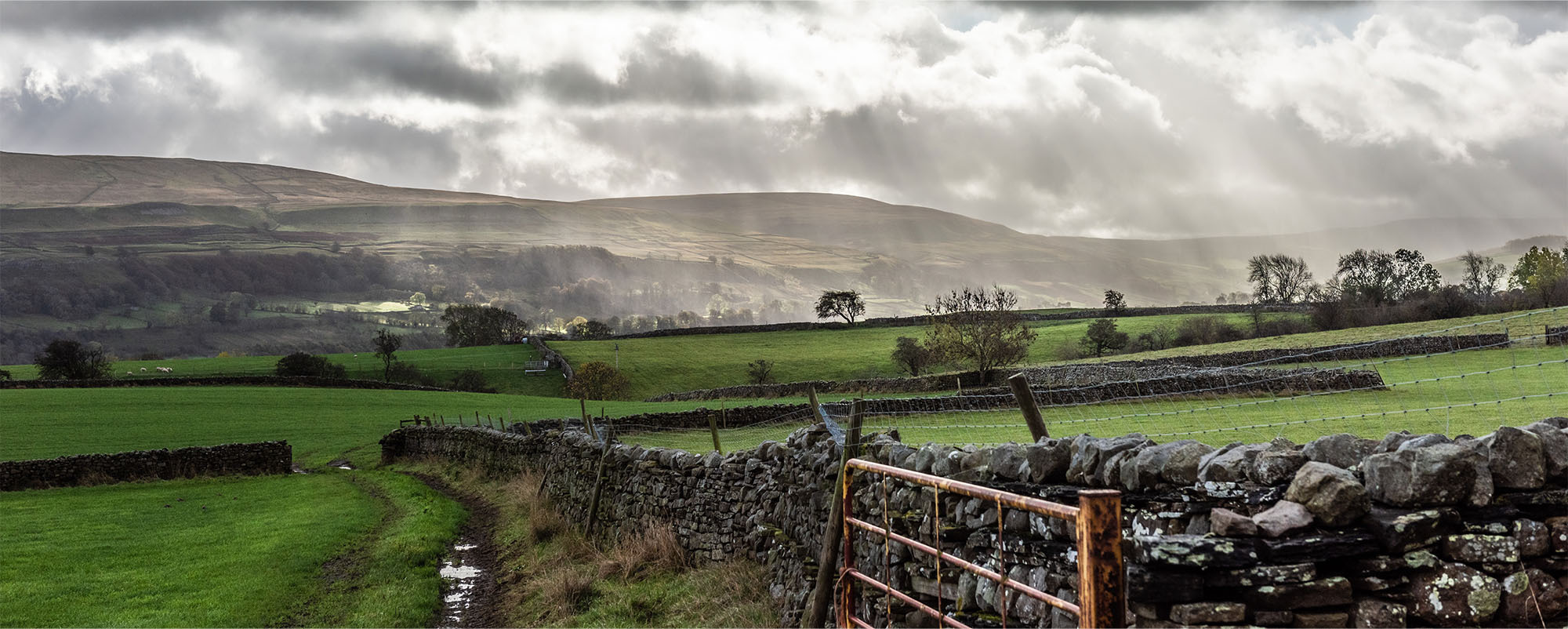 Yorkshire Clay Company | Home